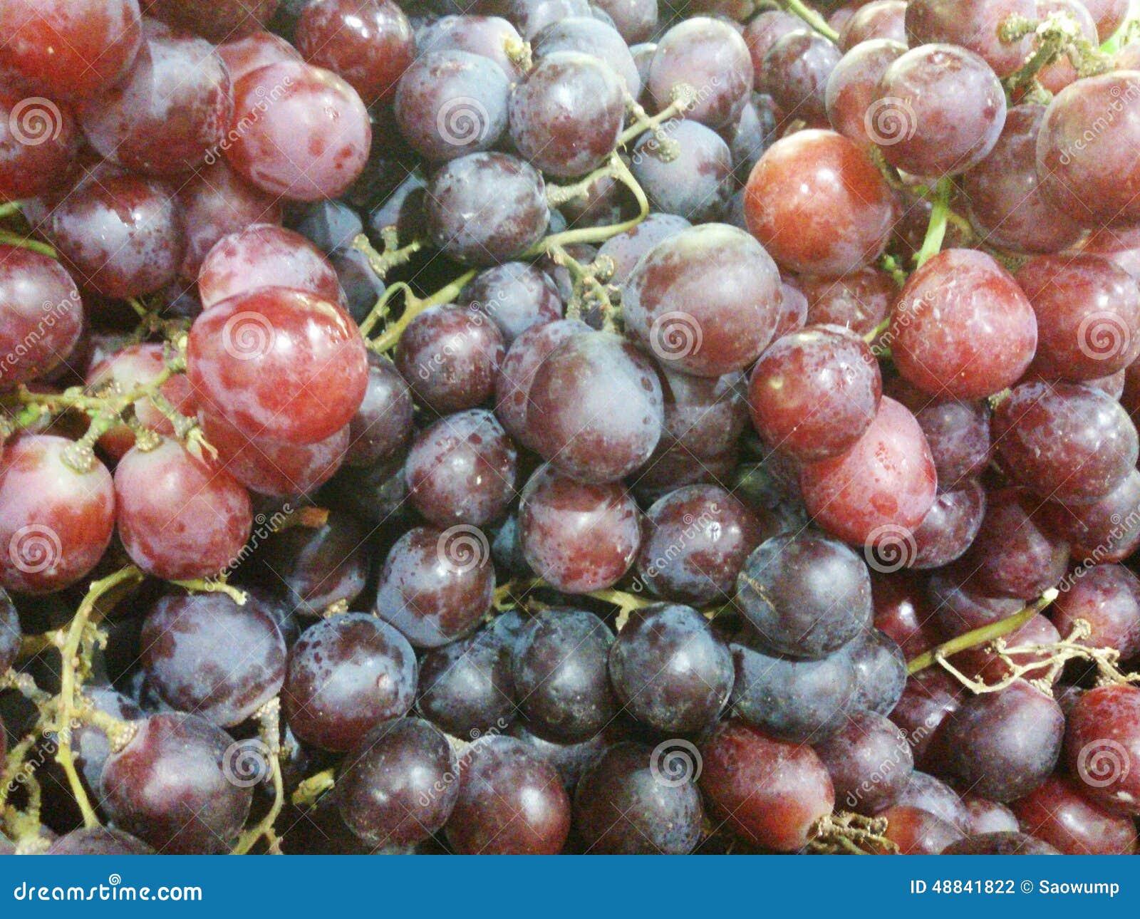 Red grapes stock photo. Image of market, grapes, fresh - 48841822