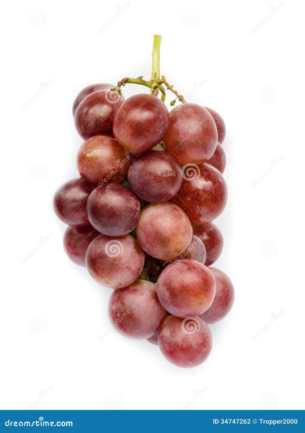 Red grapes. stock photo. Image of nutrition, grow, nature - 34747262