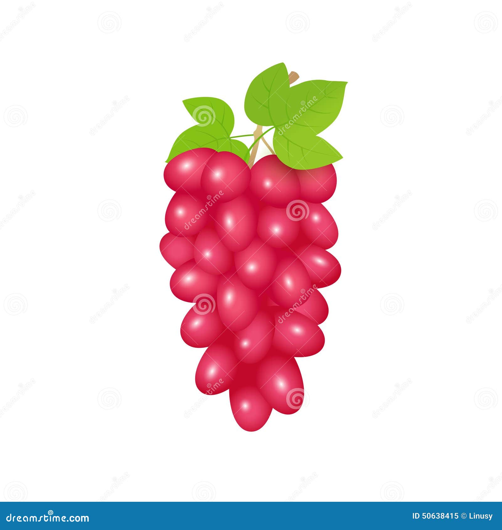 Red grapes stock vector. Illustration of background, bright - 50638415