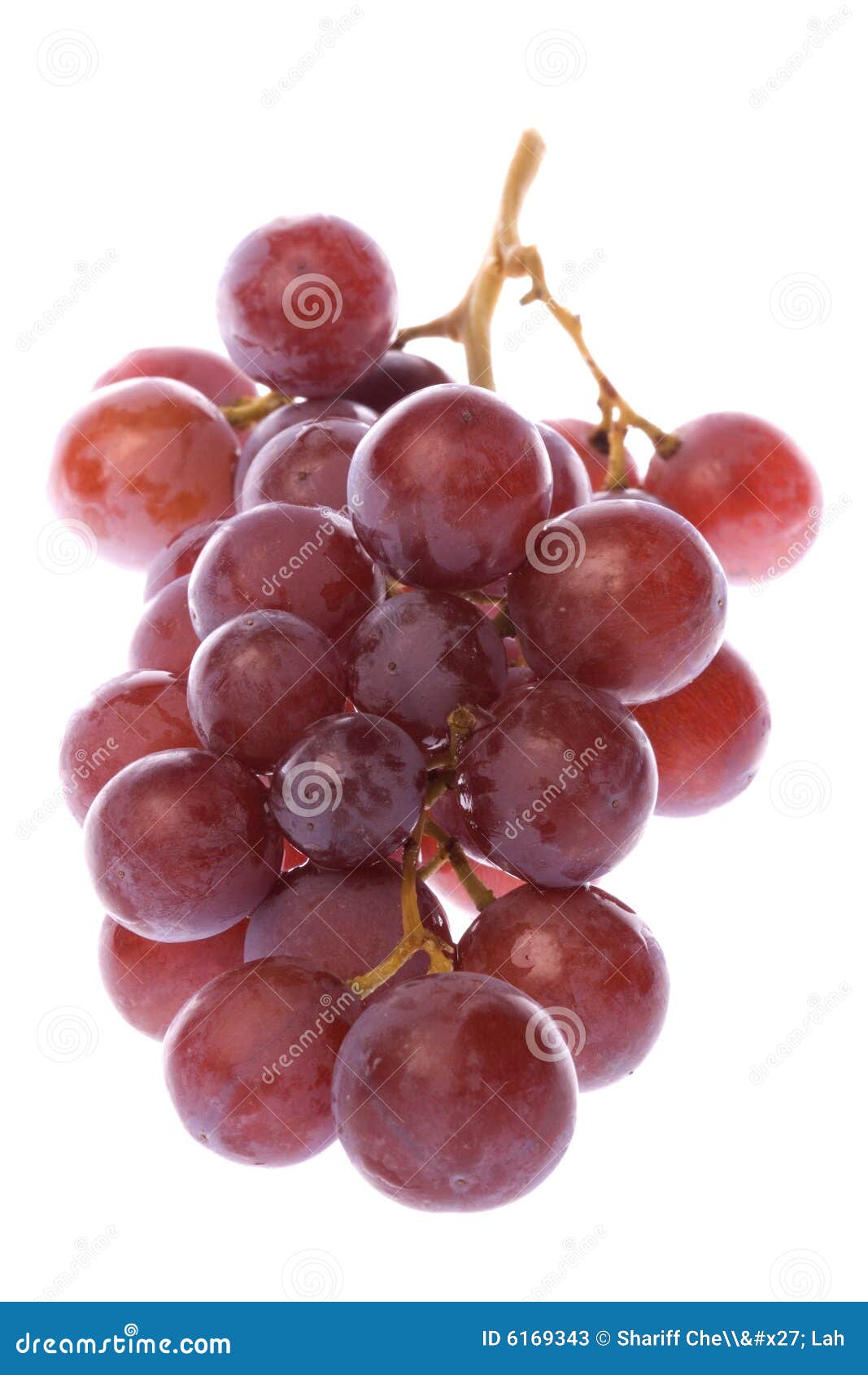 Red Grapes Isolated stock image. Image of grapes, purple - 6169343