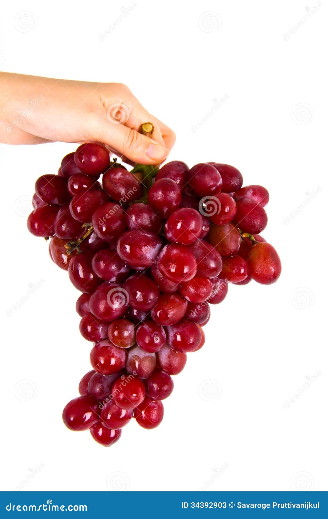 Red grapes stock image. Image of isolated, fresh, agriculture - 34392903