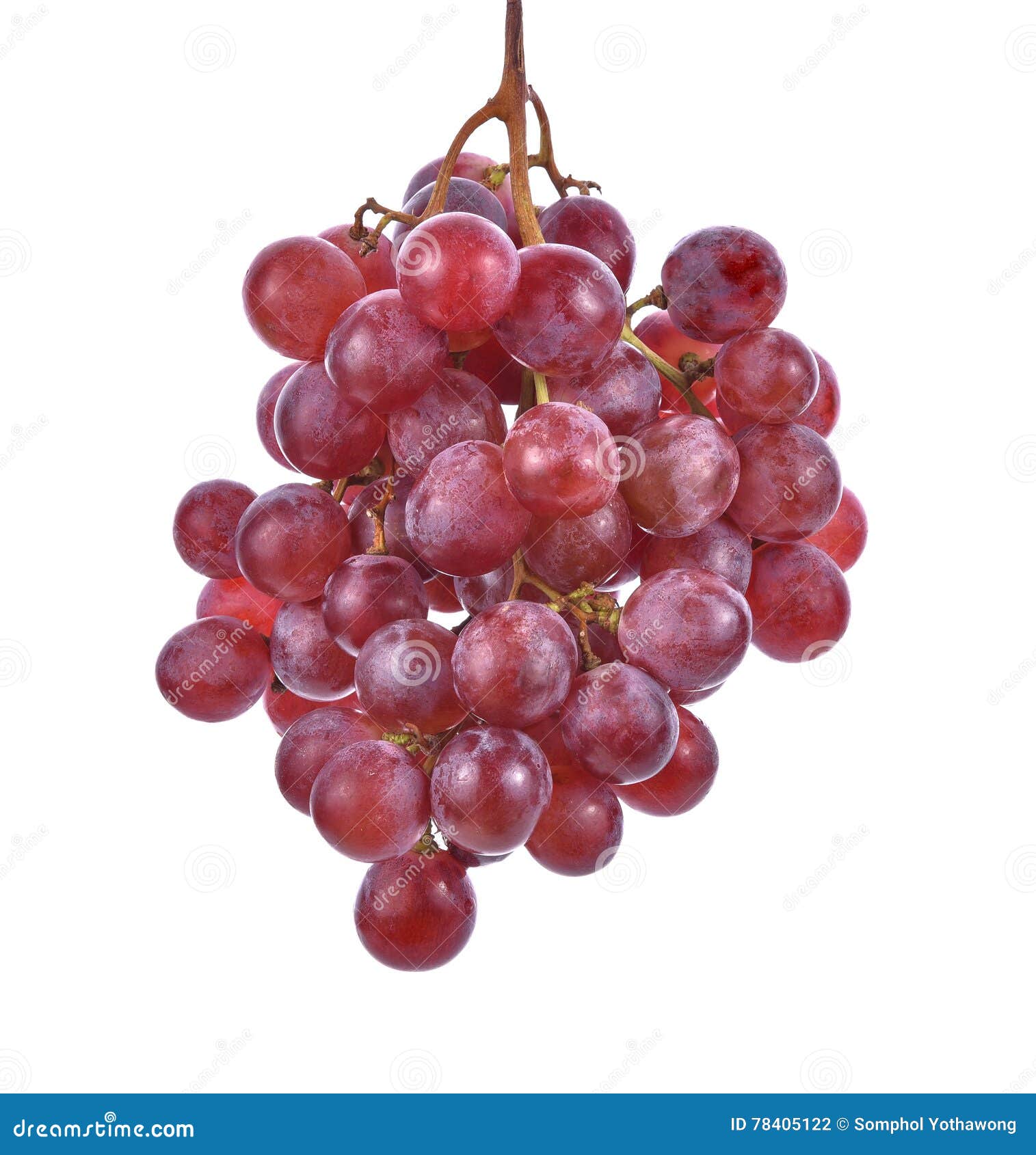 Red Grapes Isolated on White Background Stock Photo - Image of juice ...