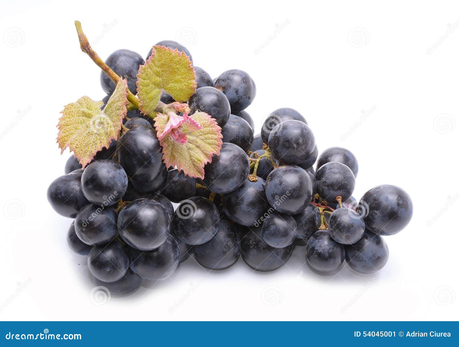 Red Grapes With Leaves Isolated On White Background Stock Image ...