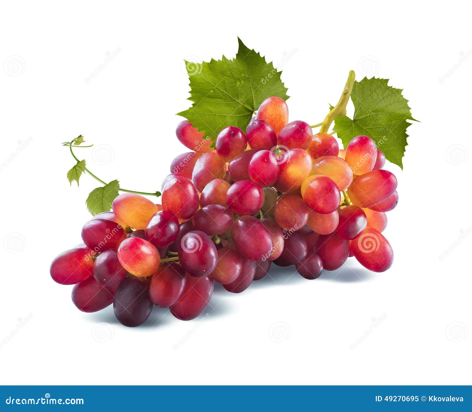 Red Grapes Long Bunch and Leaves Isolated on White Background Stock ...