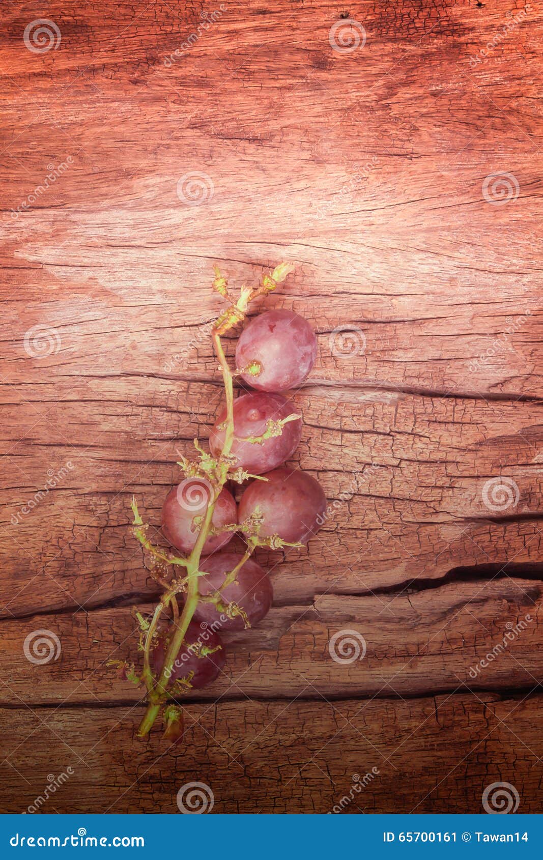 Red Grapes stock image. Image of freshness, fruit, nature - 65700161