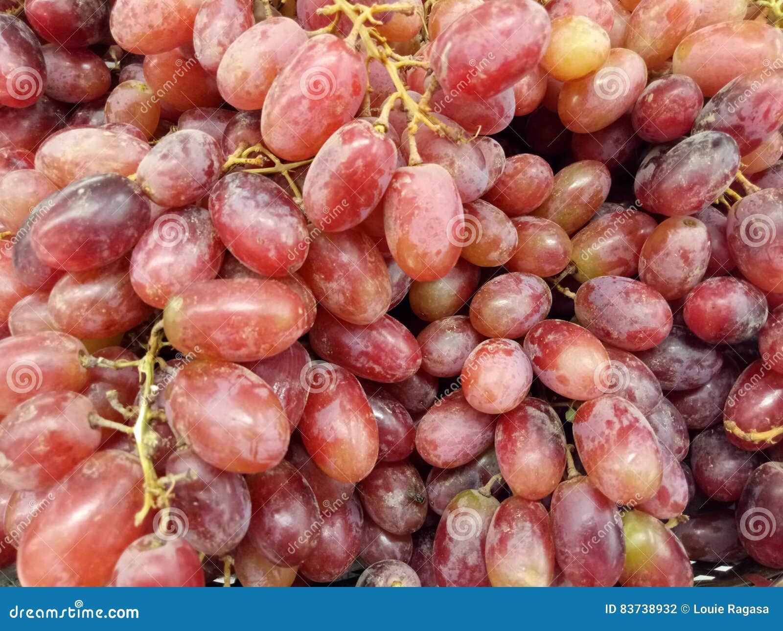 Red Grapes stock photo. Image of branches, sweet, cold - 83738932