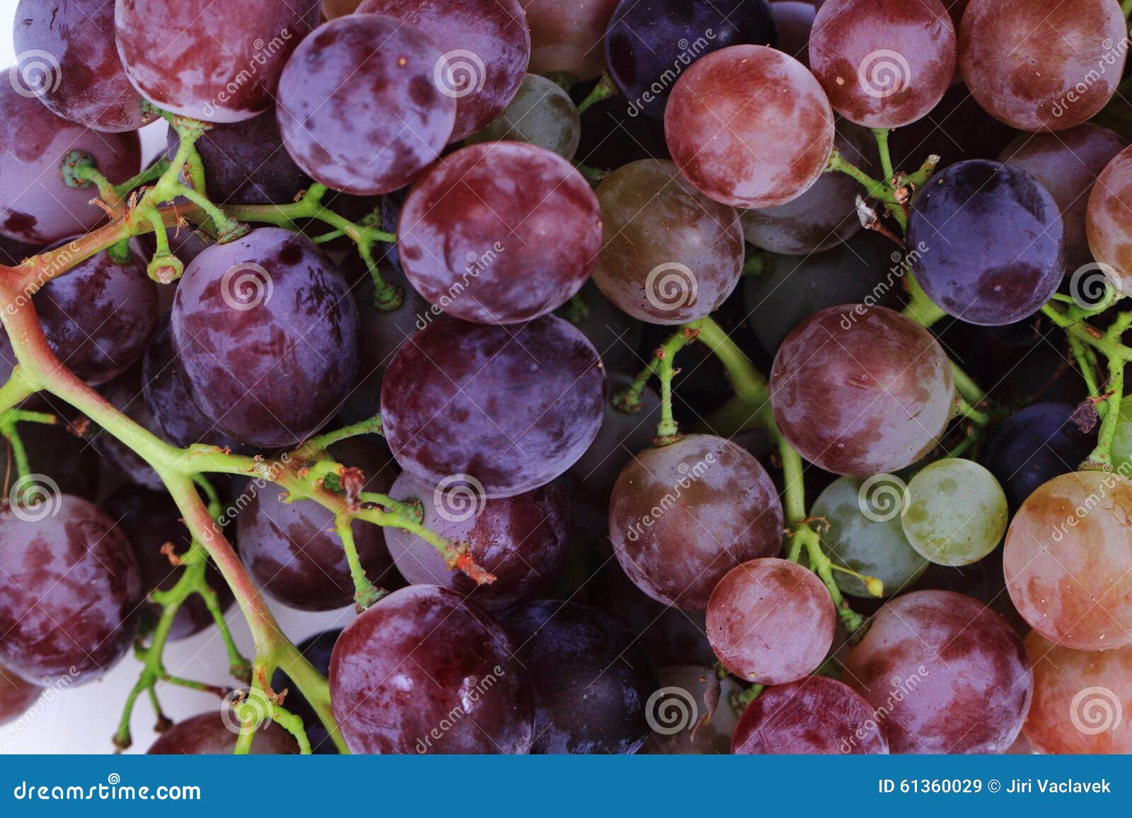 Red Grapes Texture Royalty-Free Stock Photo | CartoonDealer.com #61360029