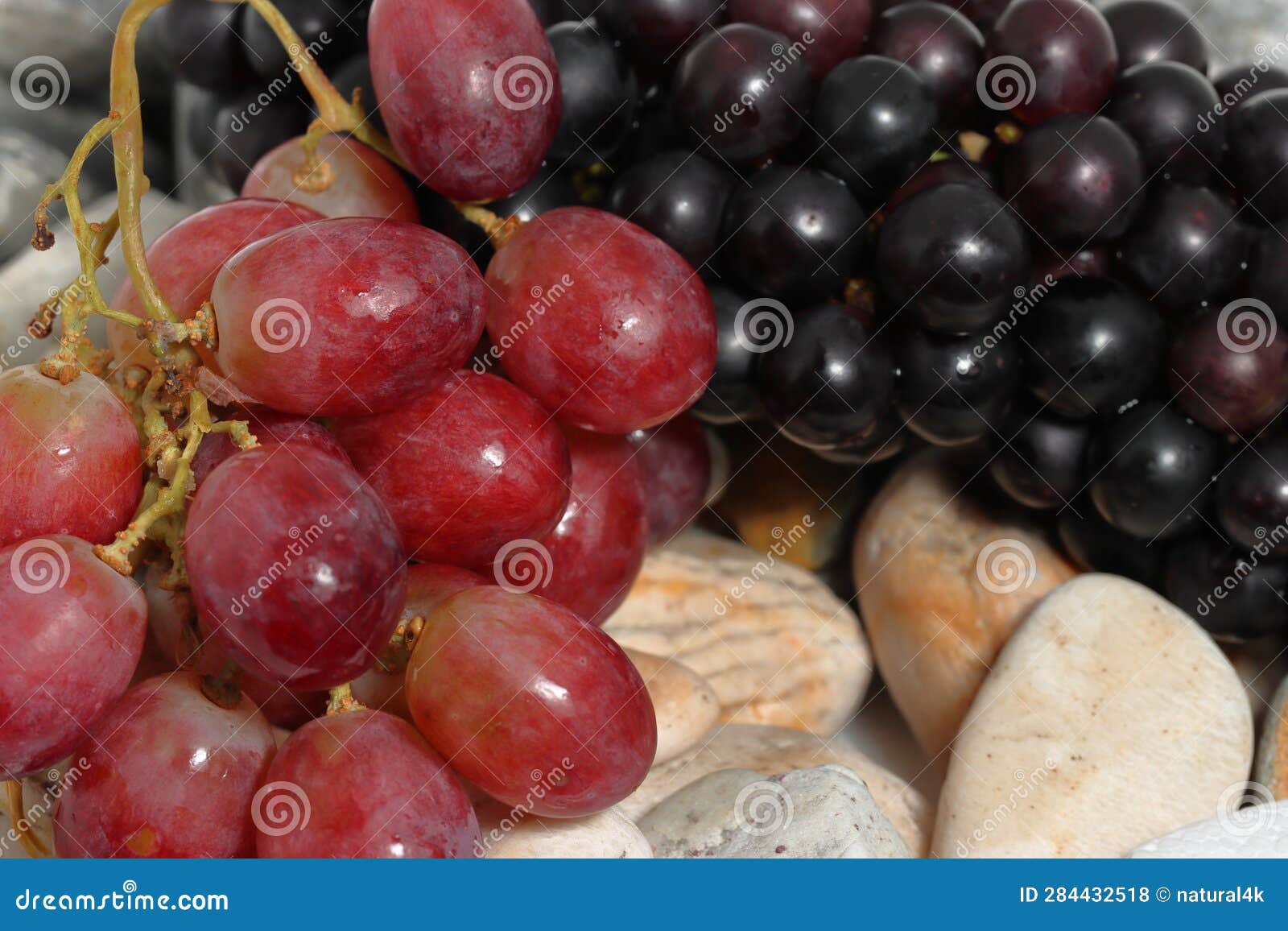 Red Grapes on Texture Background Stock Photo - Image of berry, tree ...