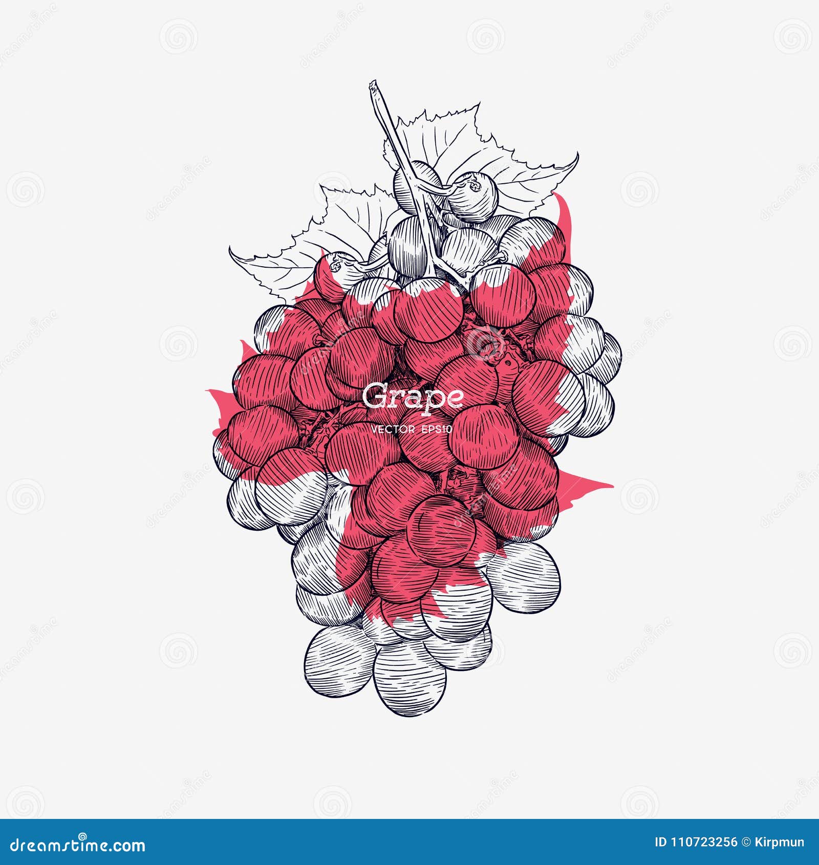 Murrel Snakehead Stock Illustrations – 5 Murrel Snakehead Stock ...