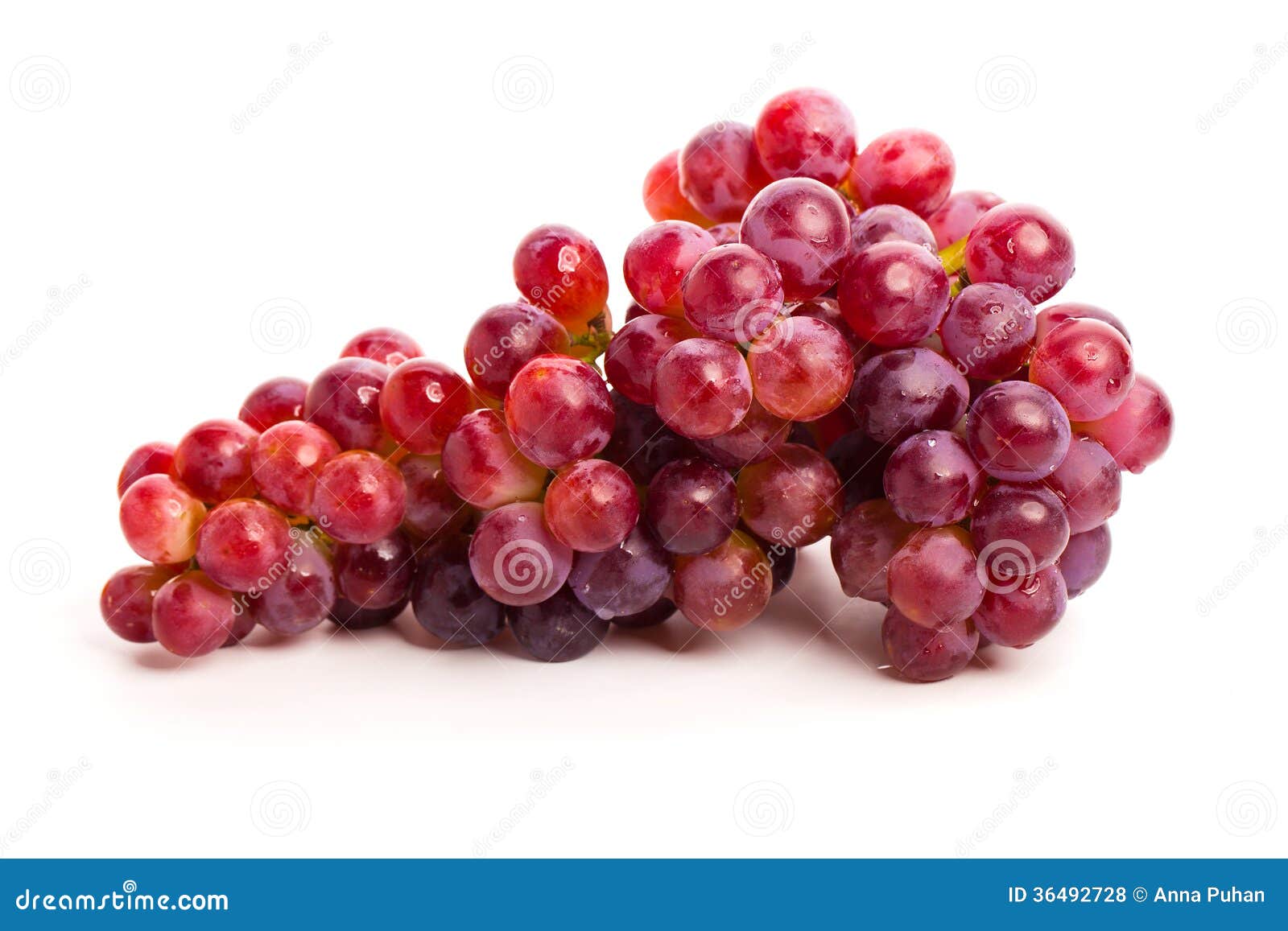 Red grapes stock photo. Image of drop, grape, fresh, nature - 36492728