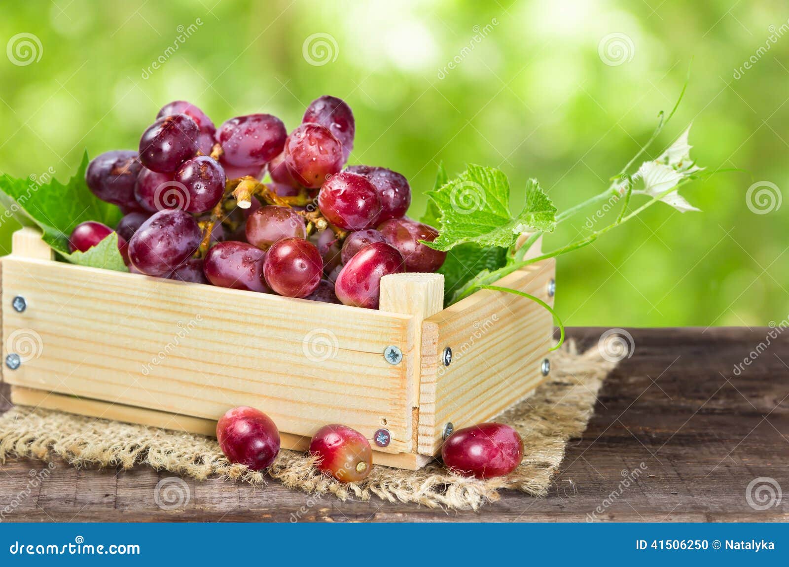 Red grapes in wooden box stock photo. Image of group - 41506250