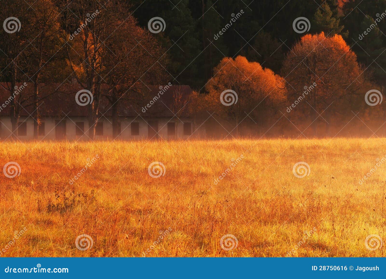 Red grass stock photo. Image of house, fresh, country - 28750616