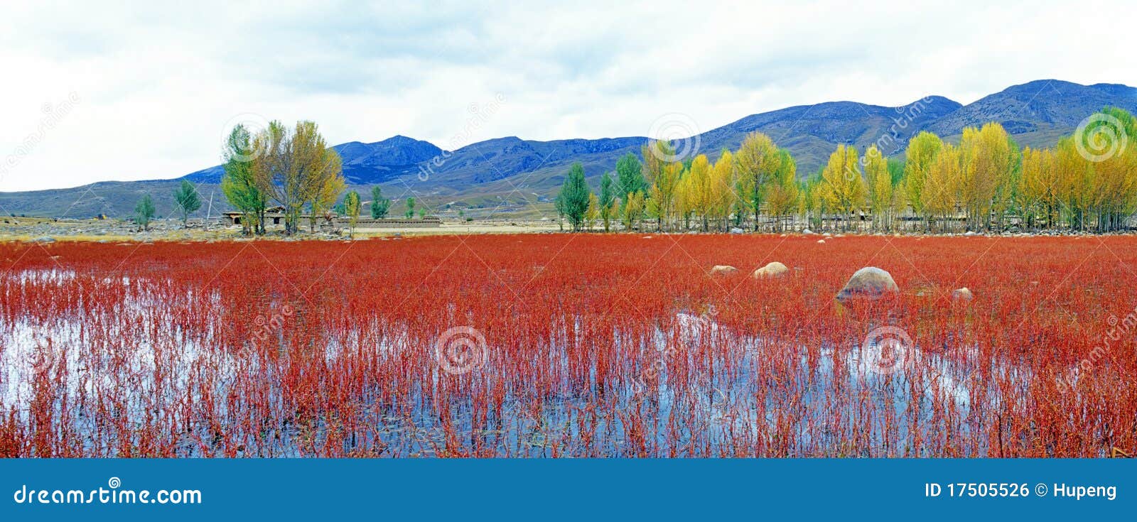 Red grassland panorama stock photo. Image of colors, chinese - 17505526