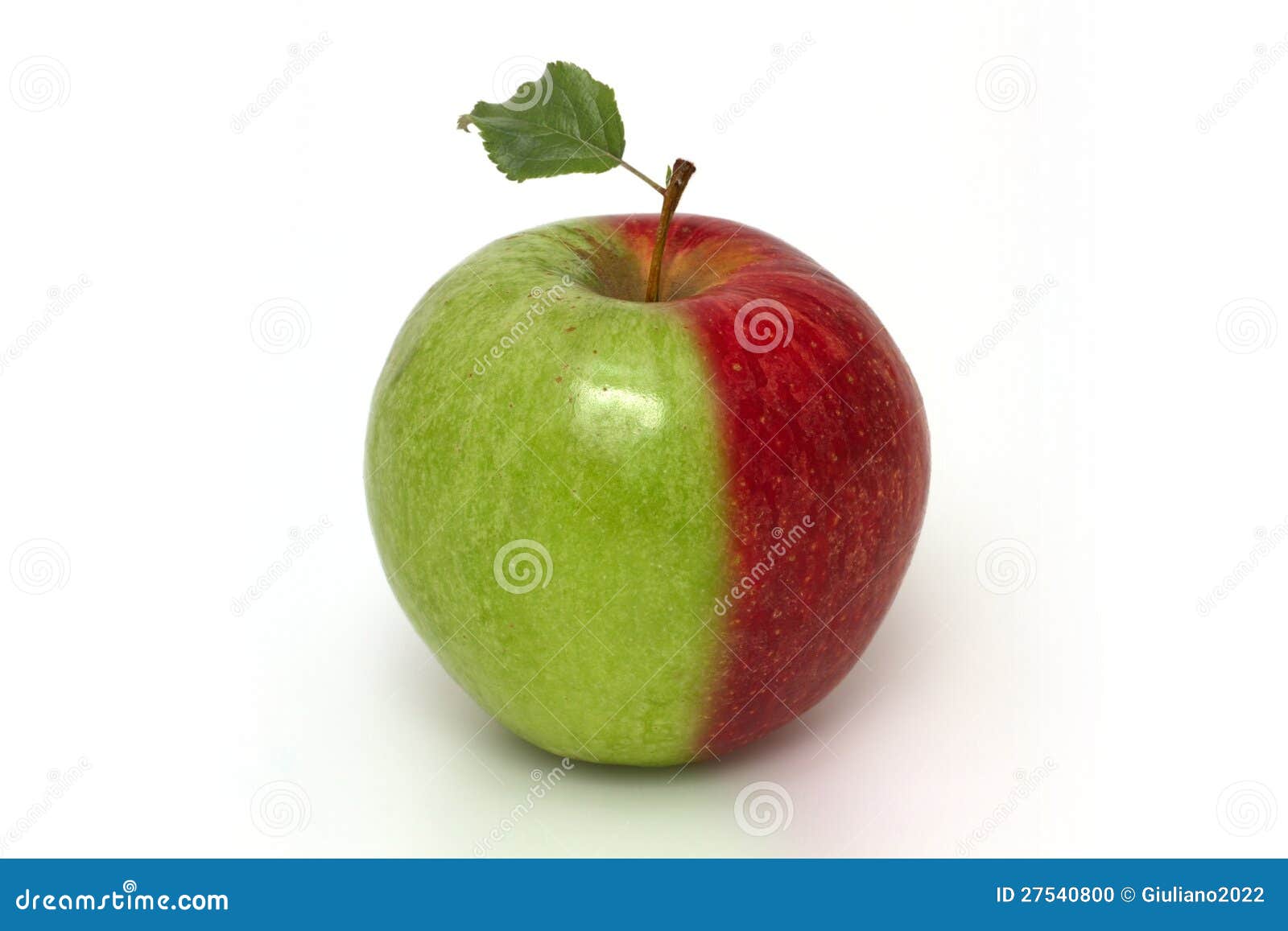 Red and Green Apple stock photo. Image of peel, modification - 27540800