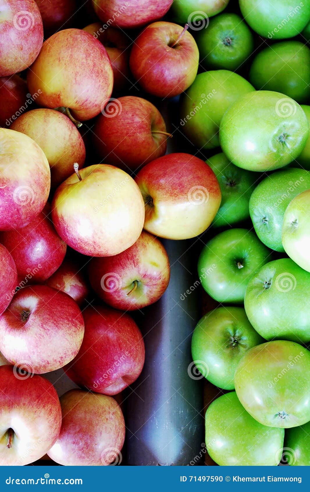 Red and green apple stock photo. Image of tray, black - 71497590