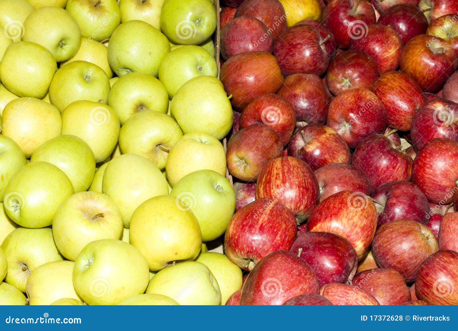 Red and green apples stock photo. Image of apples, health - 17372628