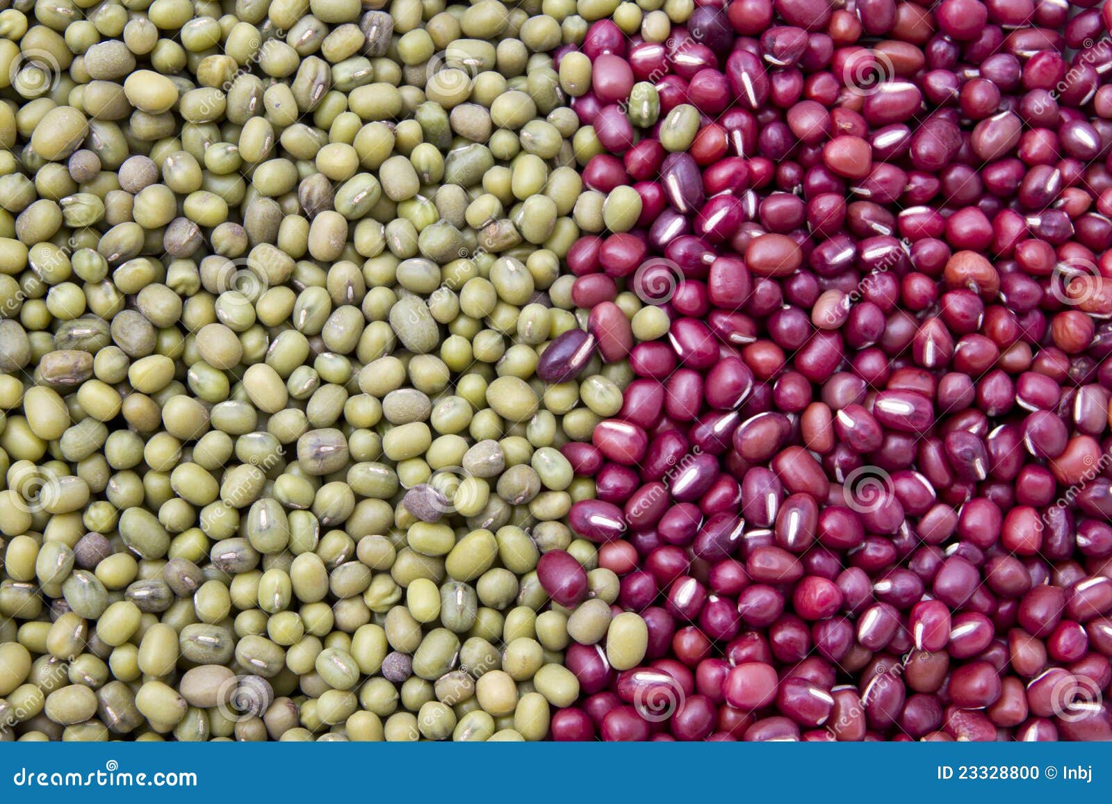 Red and green bean stock photo. Image of healthy, nutrition - 23328800