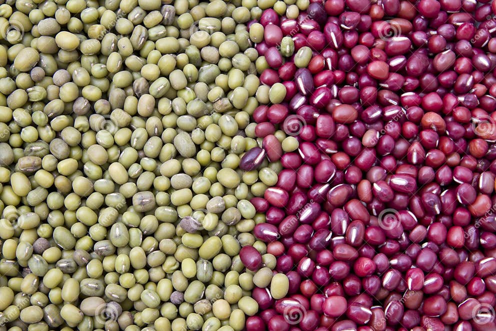 Red and green bean stock photo. Image of healthy, nutrition - 23328800