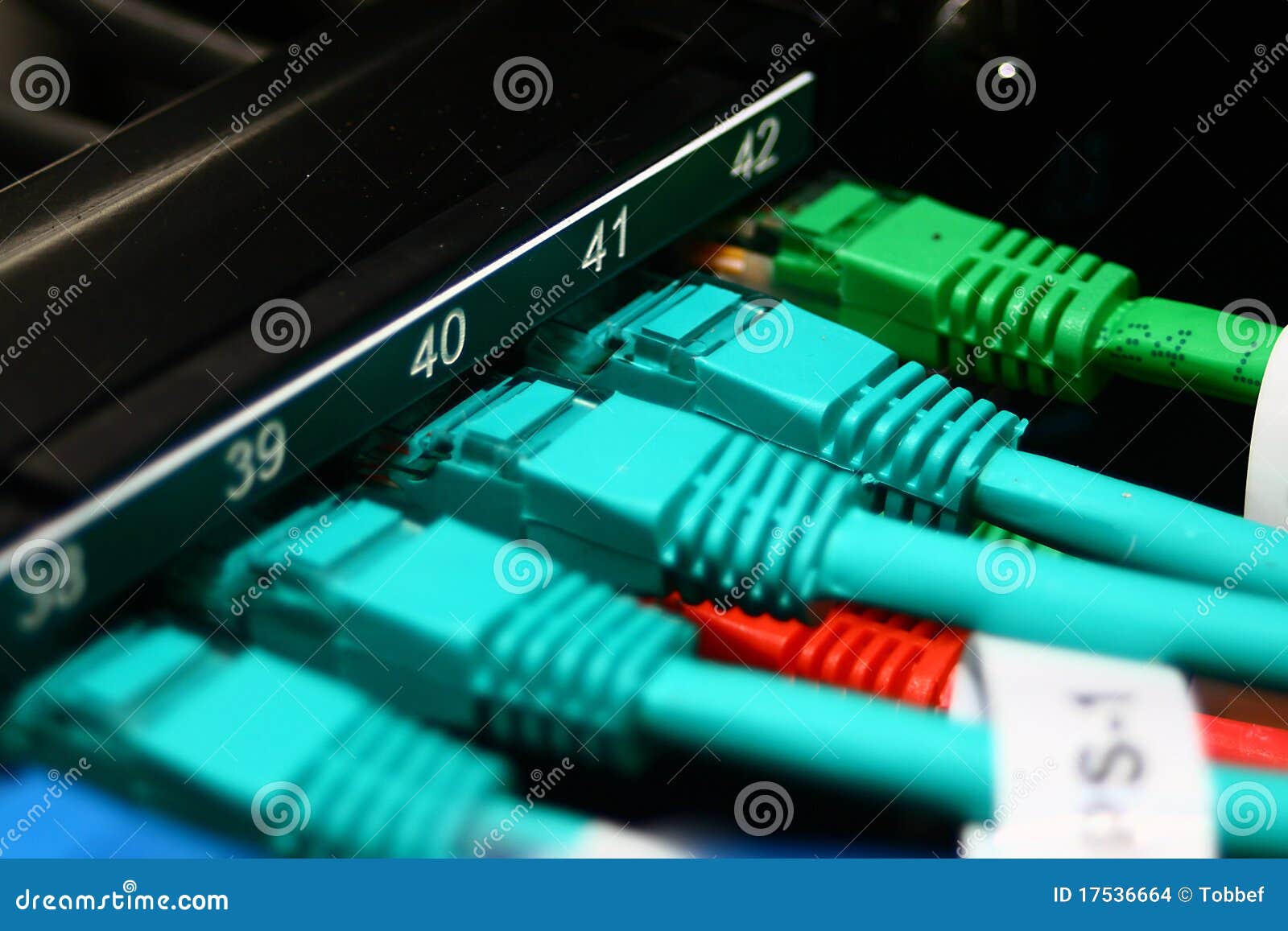 Red, Green and Blue Ethernet Cables Stock Photo - Image of blue ...