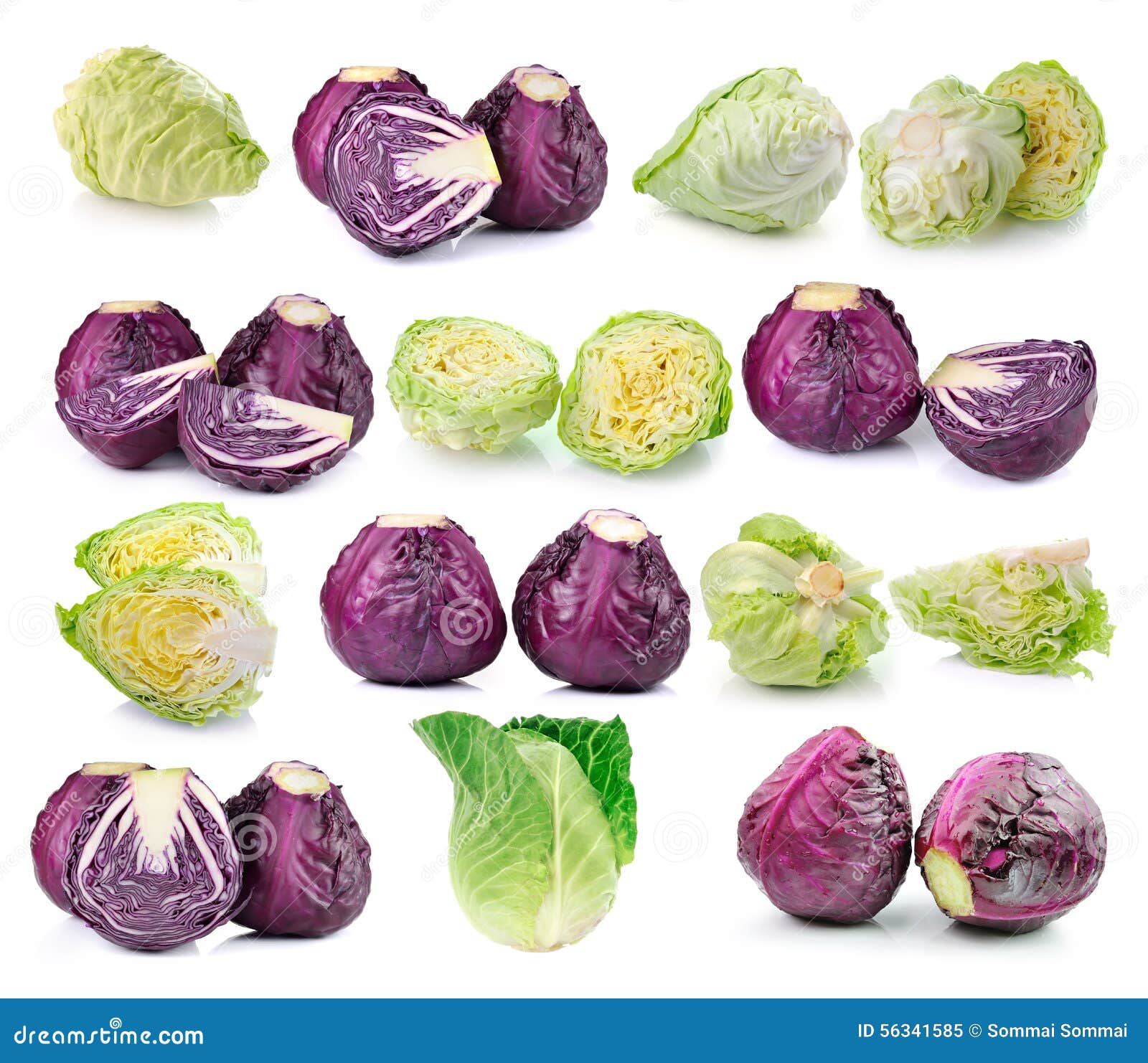 Red and Green Cabbage Isolated on White Background Stock Image - Image ...