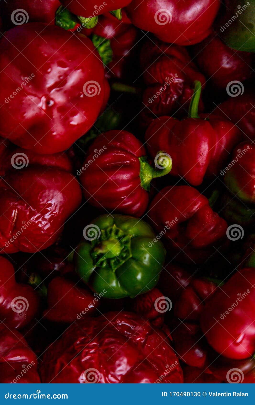 Red and Green Capsicum on a Old Table. Stock Photo - Image of organic ...