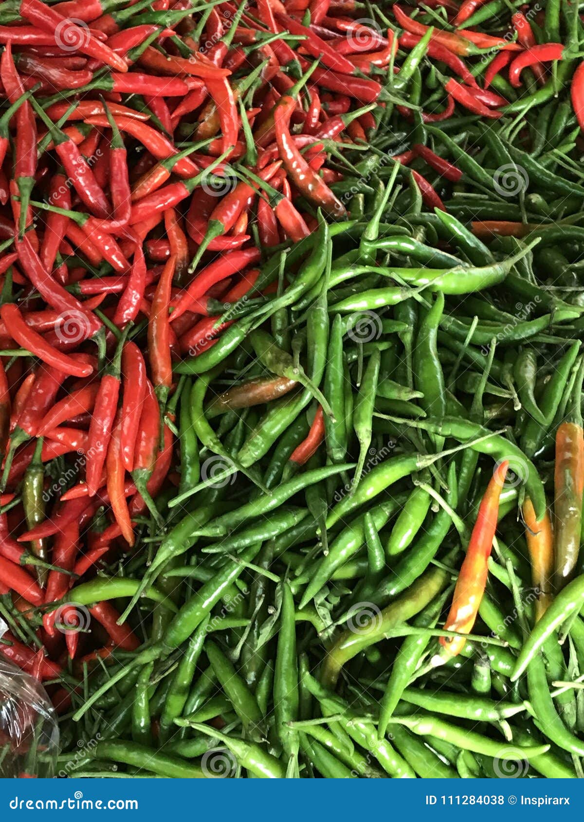 Red and green chilli stock photo. Image of vegetable - 111284038
