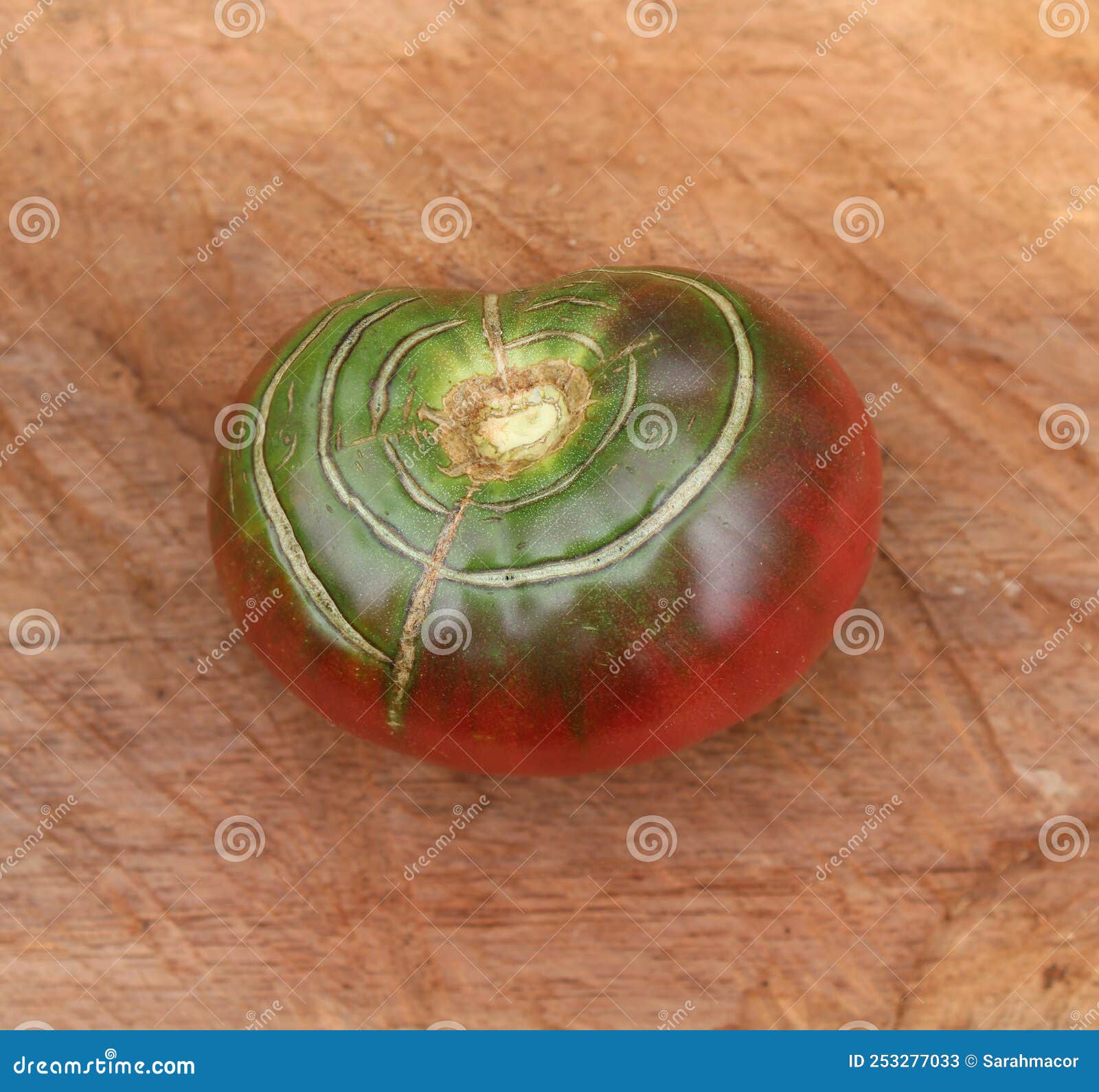 Cracking Of Tomato Fruits On A Bush During Ripening Royalty-Free Stock ...