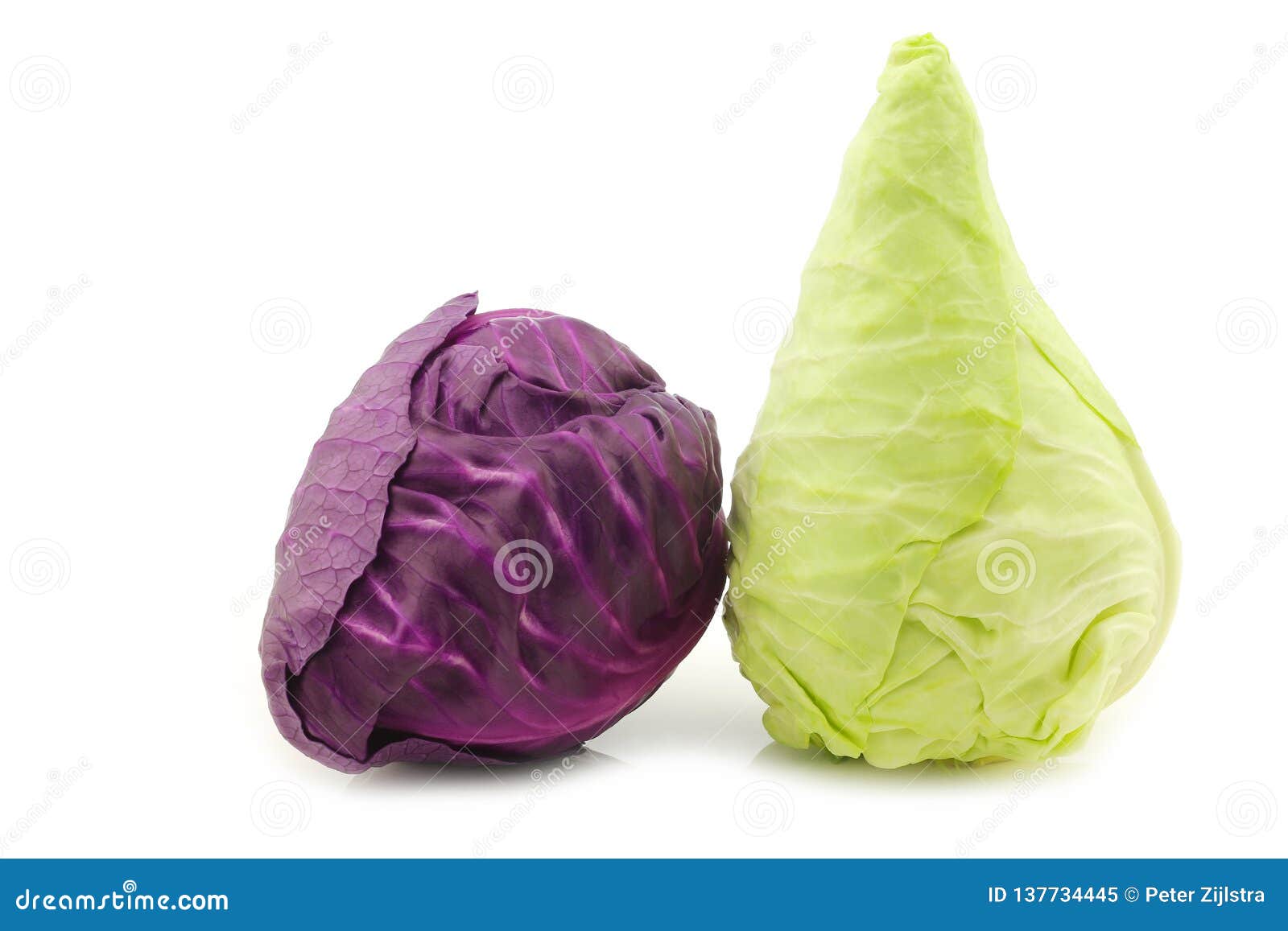 A Red and a Green Pointed Cabbage Stock Image - Image of green ...