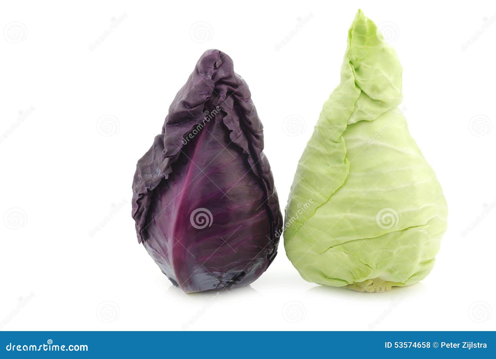 A Red and a Green Pointed Cabbage Stock Photo - Image of harvested ...