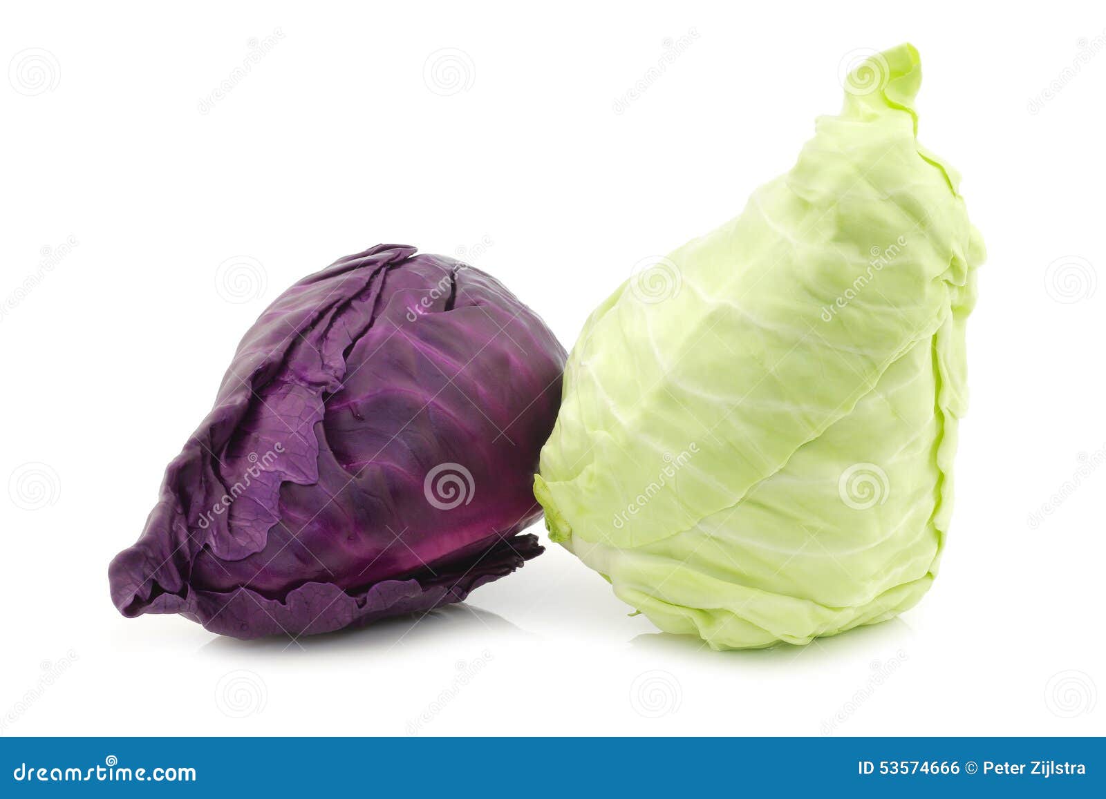 A Red and a Green Pointed Cabbage Stock Photo - Image of green, healthy ...