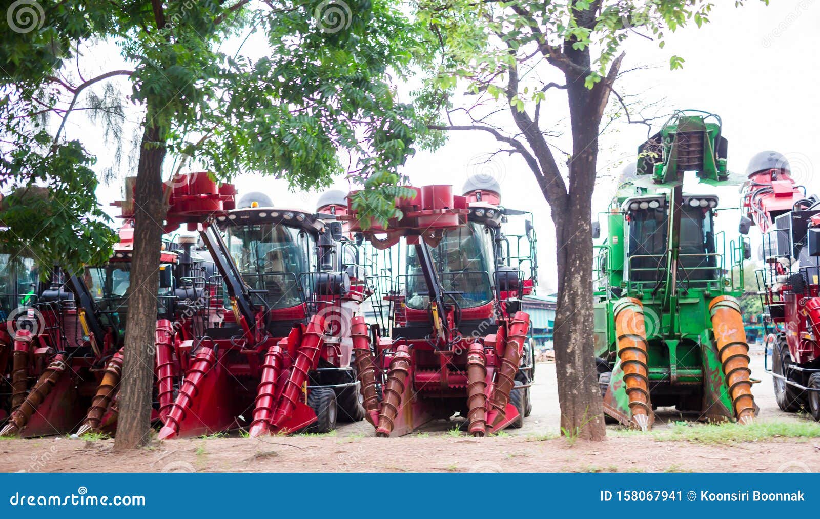 Sugarcane Cutting Machine