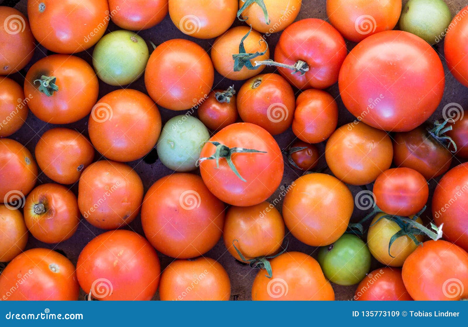 Red and Green Tomatoes in a Box Stock Image - Image of size, green ...