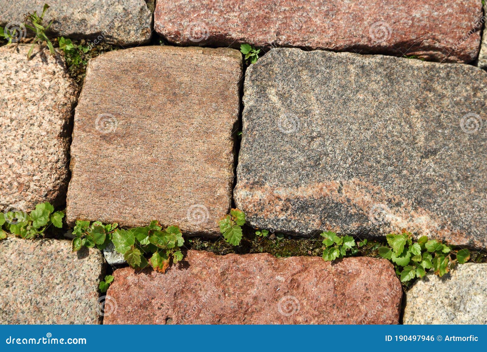 Red and Grey Stone Bricks Pavement with Green Grass between Bricks Top ...