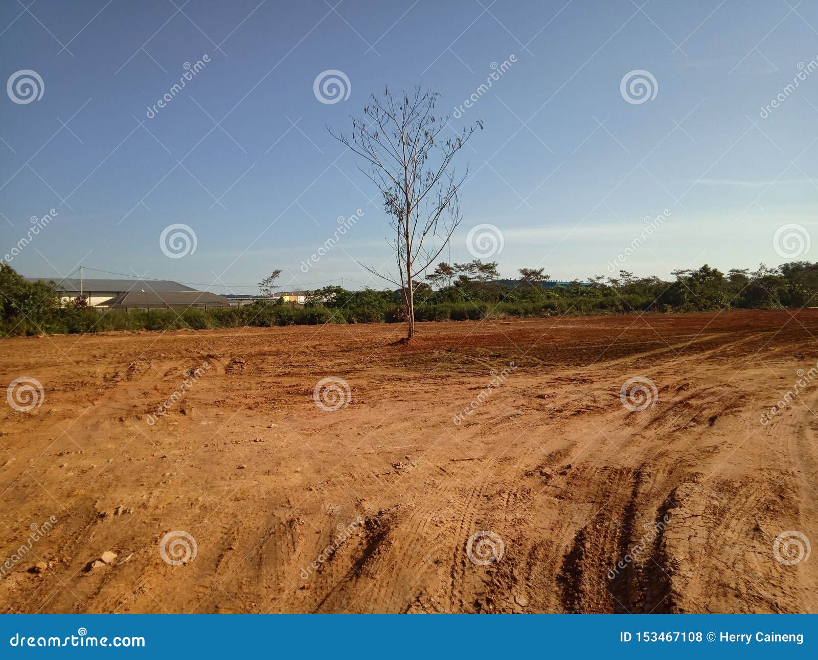 Red Ground with River in the Morning Stock Photo - Image of natural ...