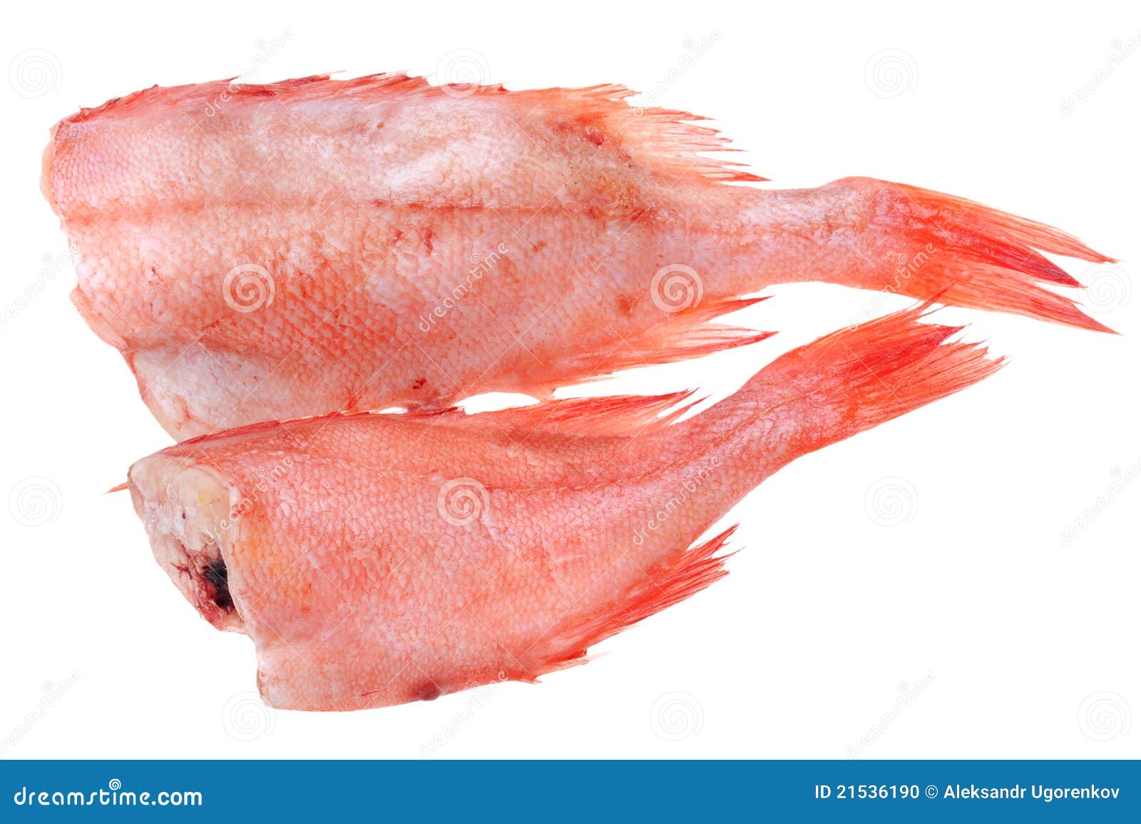 Red grouper stock photo. Image of head, food, fresh, natural - 21536190