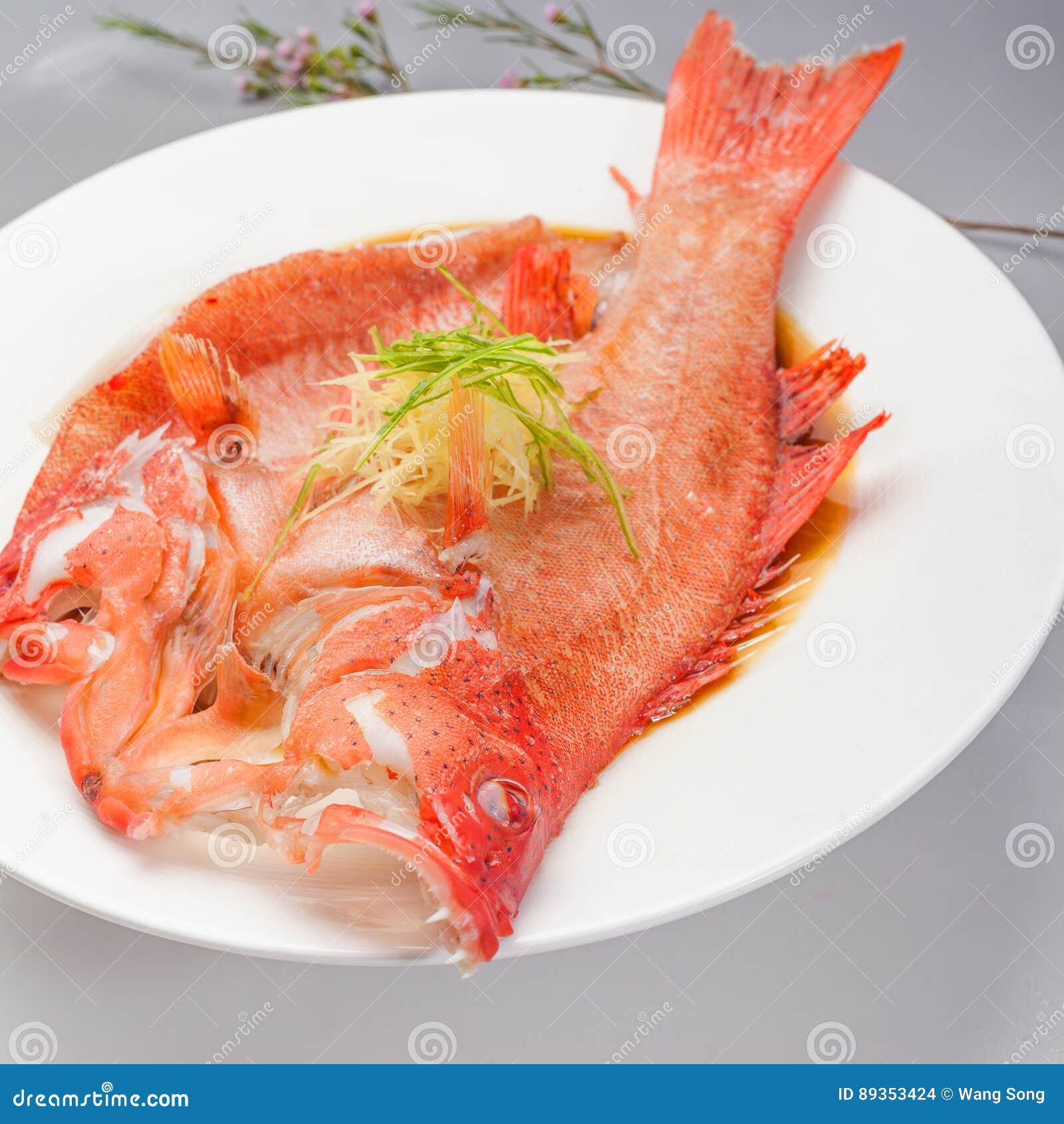 Red grouper stock photo. Image of marine, southeast, chinese - 89353424