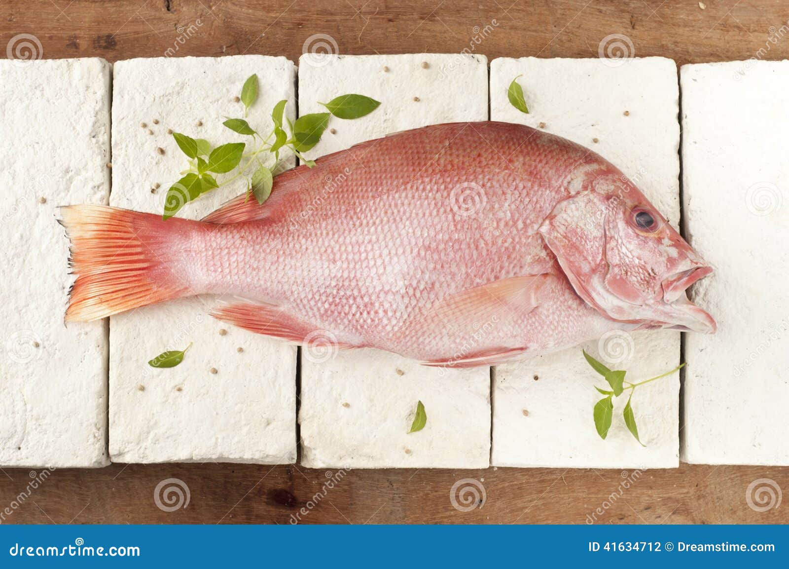 Grouper Fish Royalty-Free Stock Image | CartoonDealer.com #33855808