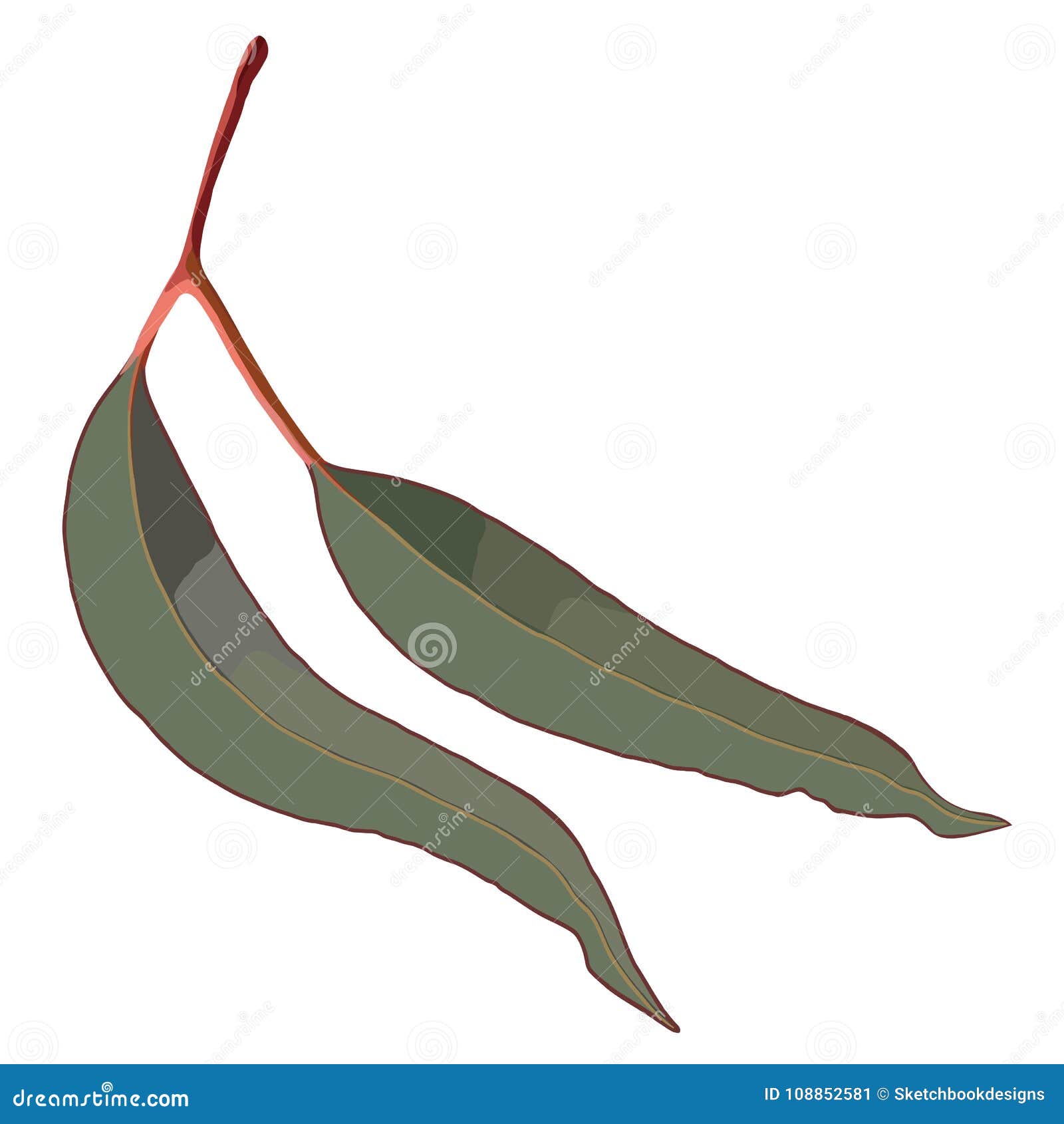 Red Gum Tree Leaves Vector | CartoonDealer.com #108852581