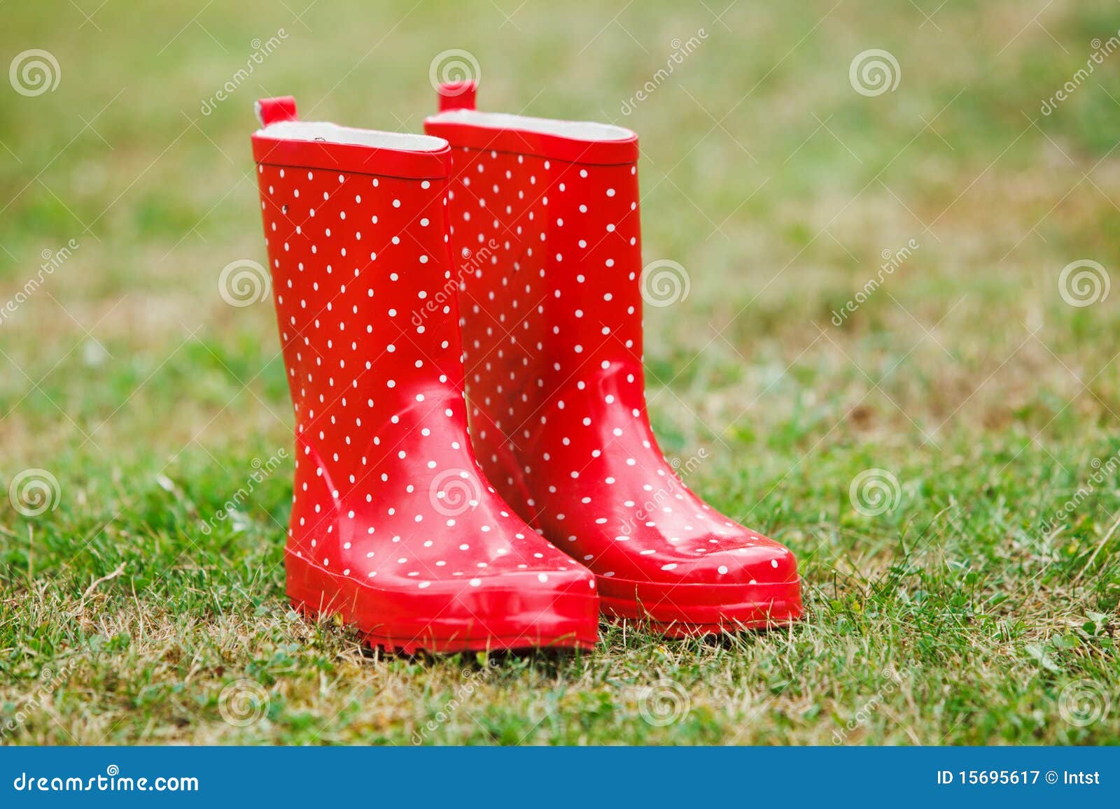 Red gumboots stock image. Image of fashion, green, rubber - 15695617
