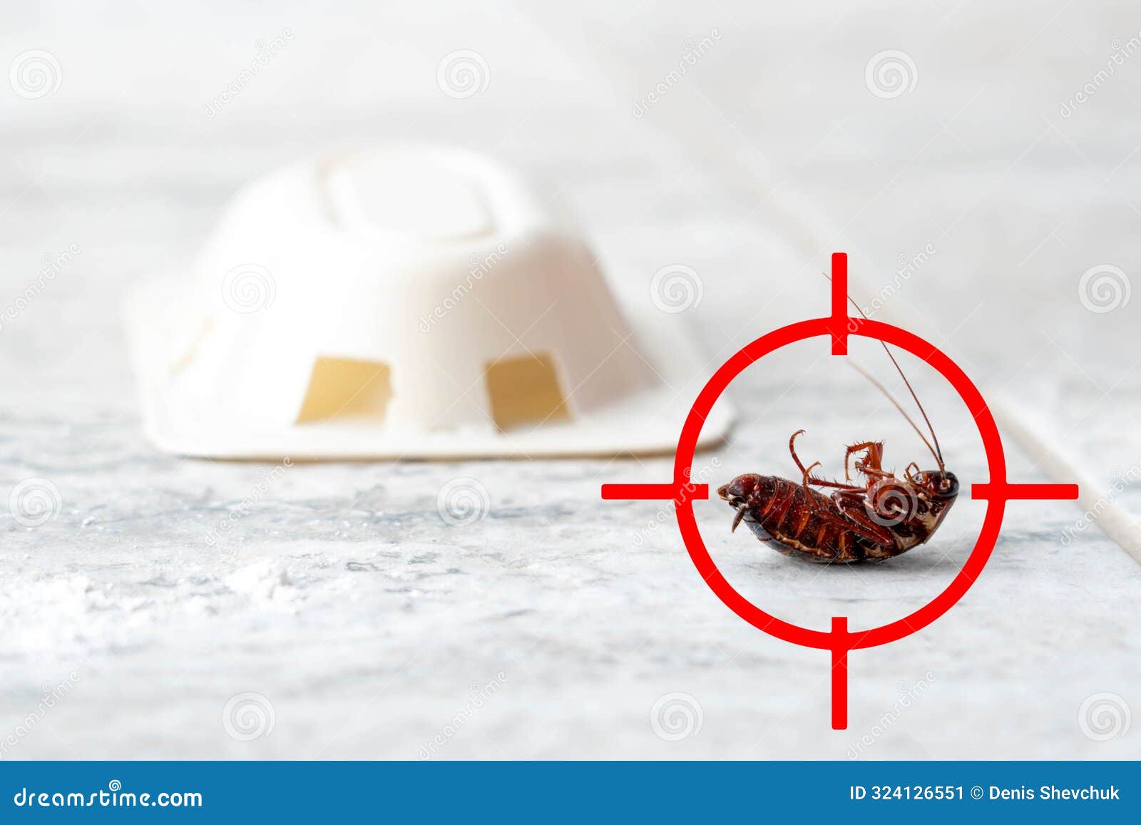 Red Gun Target Aiming on Dead Cockroach Upside Down on the Floor. Pest ...
