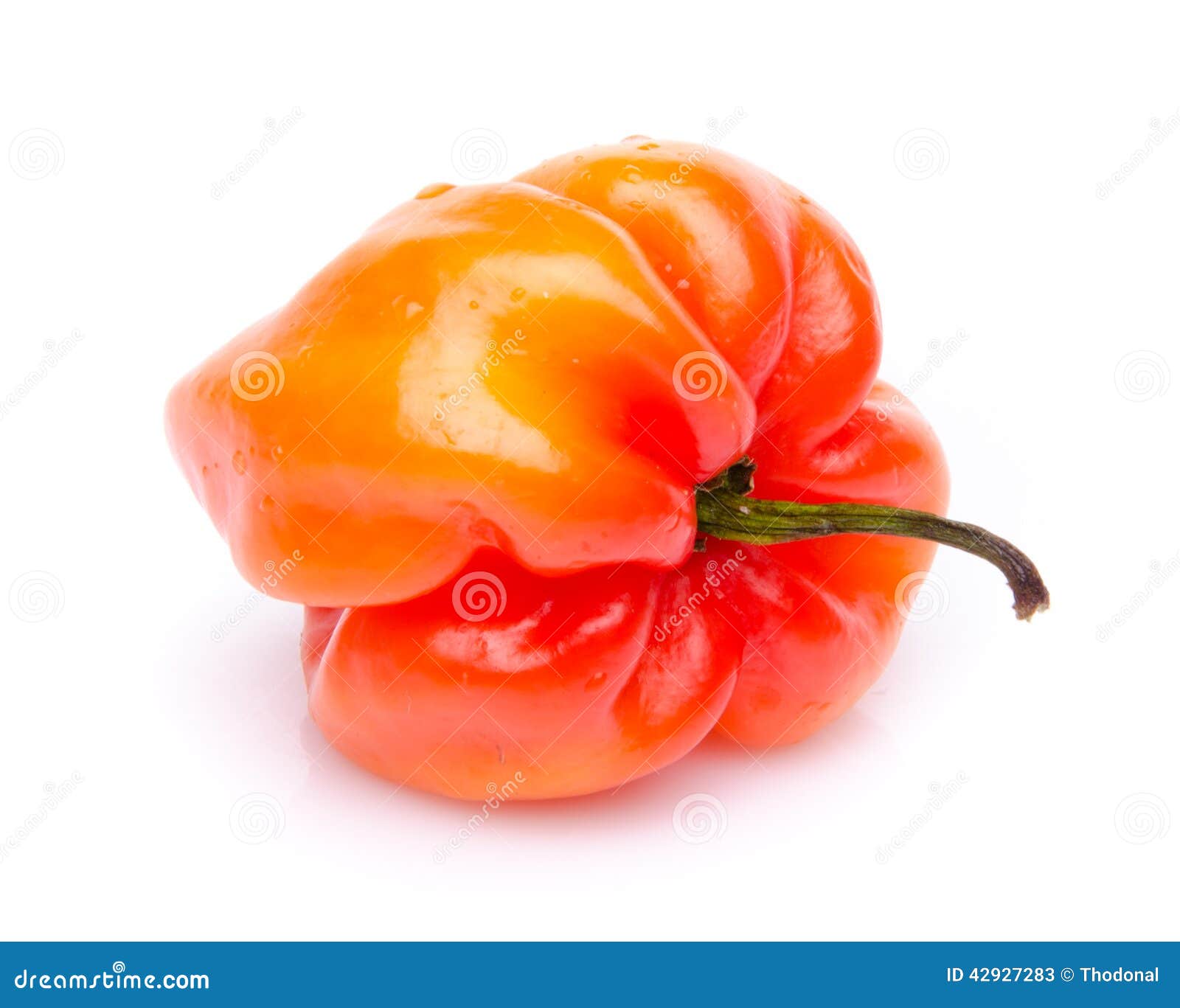 Red Habanero Pepper, Half Of Red Habanero Pepper, Slice, Isolated On ...