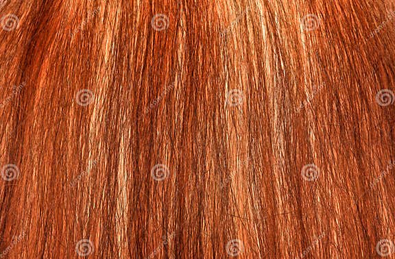 Red Hair Texture stock image. Image of color, extension - 231404777