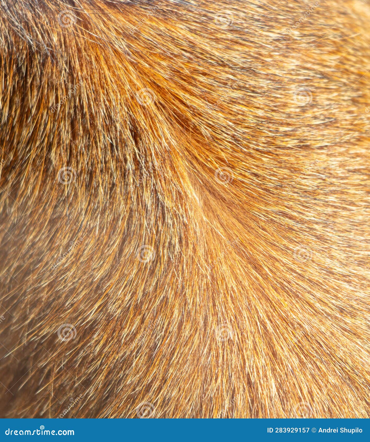 Red Haired Monkey As an Abstract Background. Texture. Stock Image ...