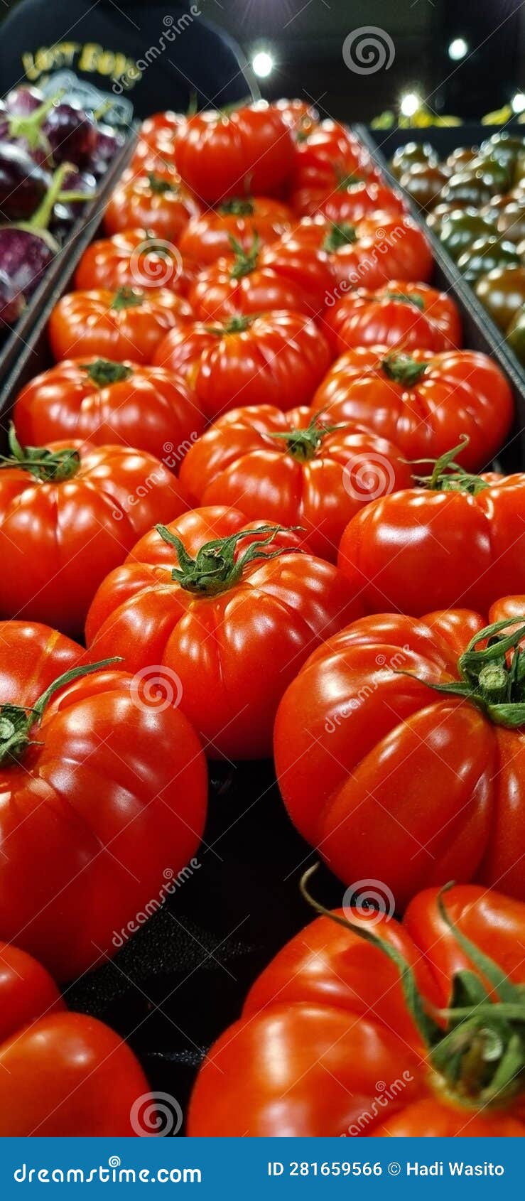 Red Hairlom Tomatto stock photo. Image of tomatto, vegetable - 281659566