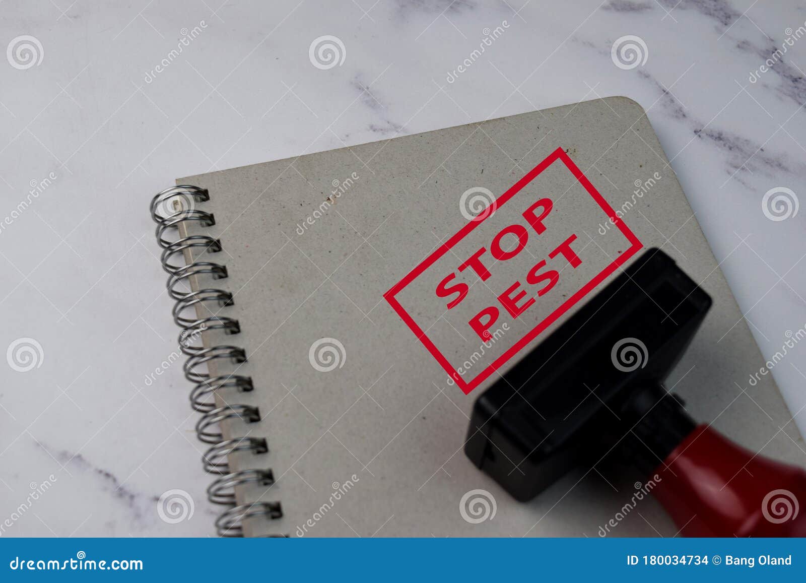 Red Handle Rubber Stamper and Stop Pest Text Isolated on White ...