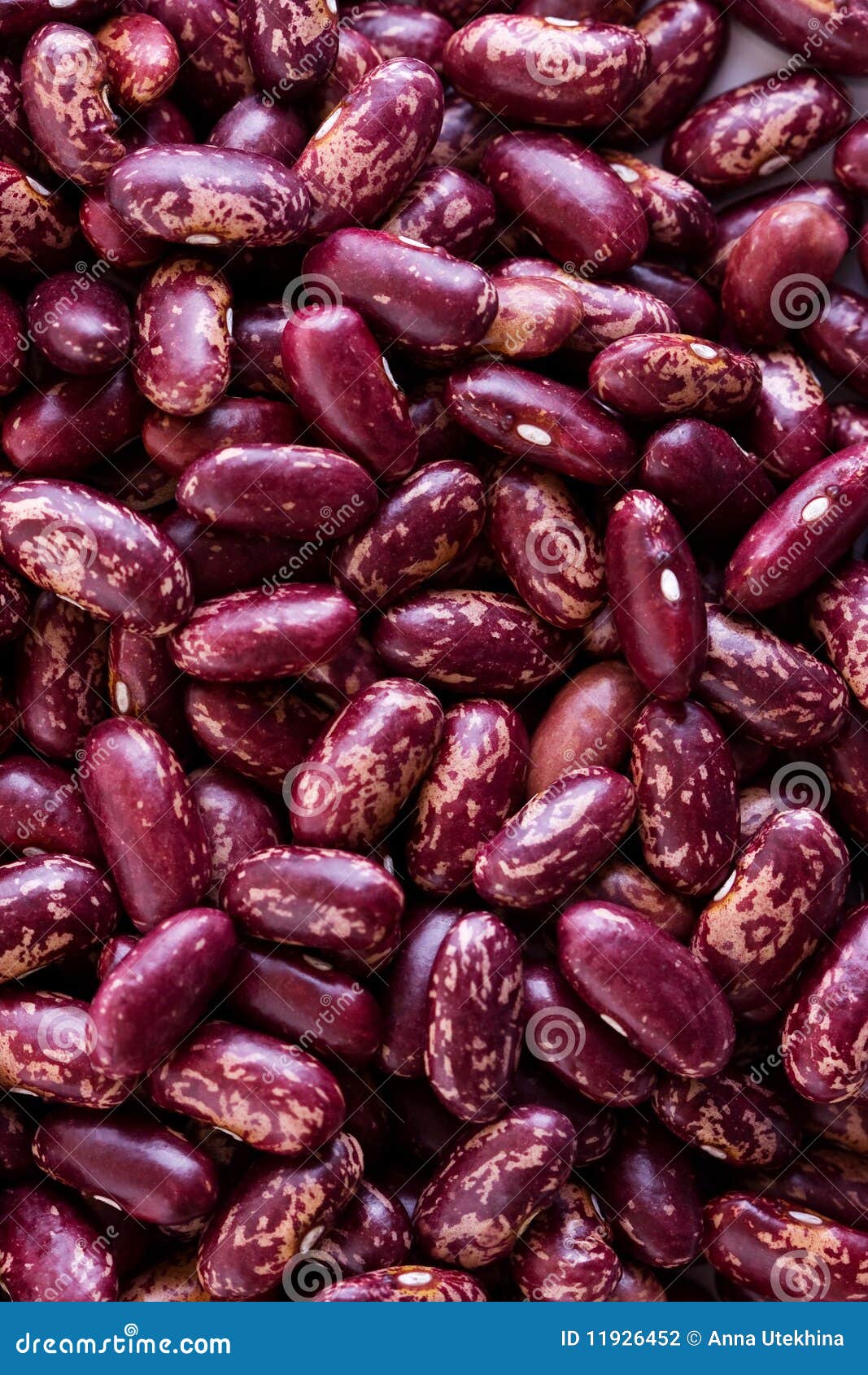 Red Haricot beans stock photo. Image of brewed, beans - 11926452