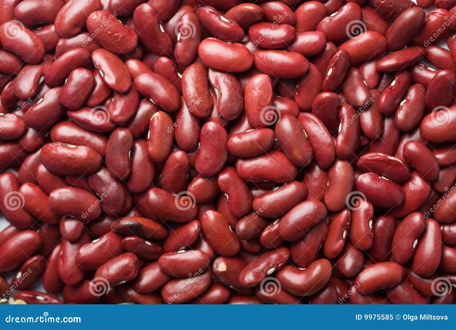 Red Haricot Beans Background Stock Image - Image of cooking, ingredient ...