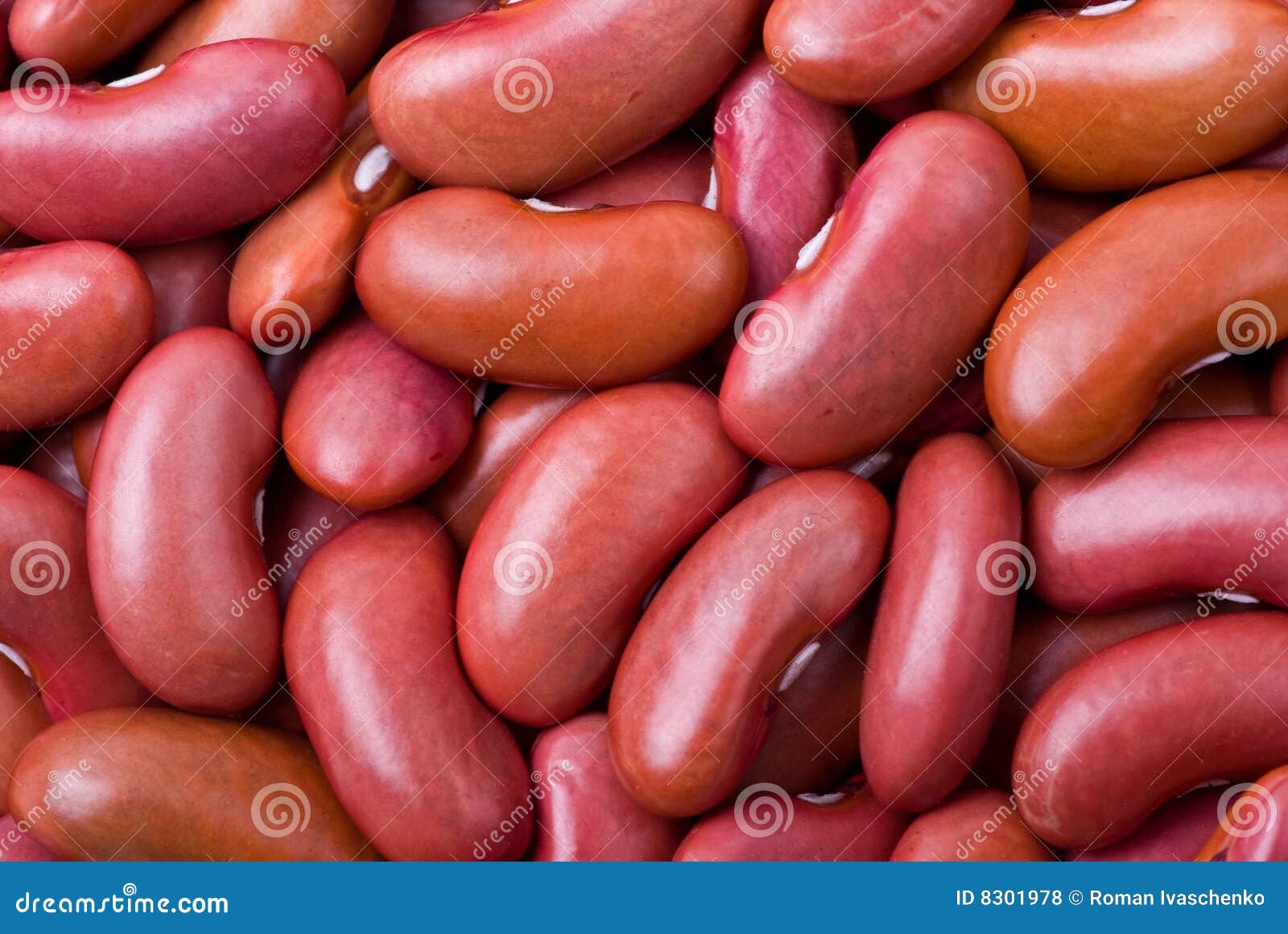 Red haricot beans macro stock photo. Image of dried, healthy - 8301978