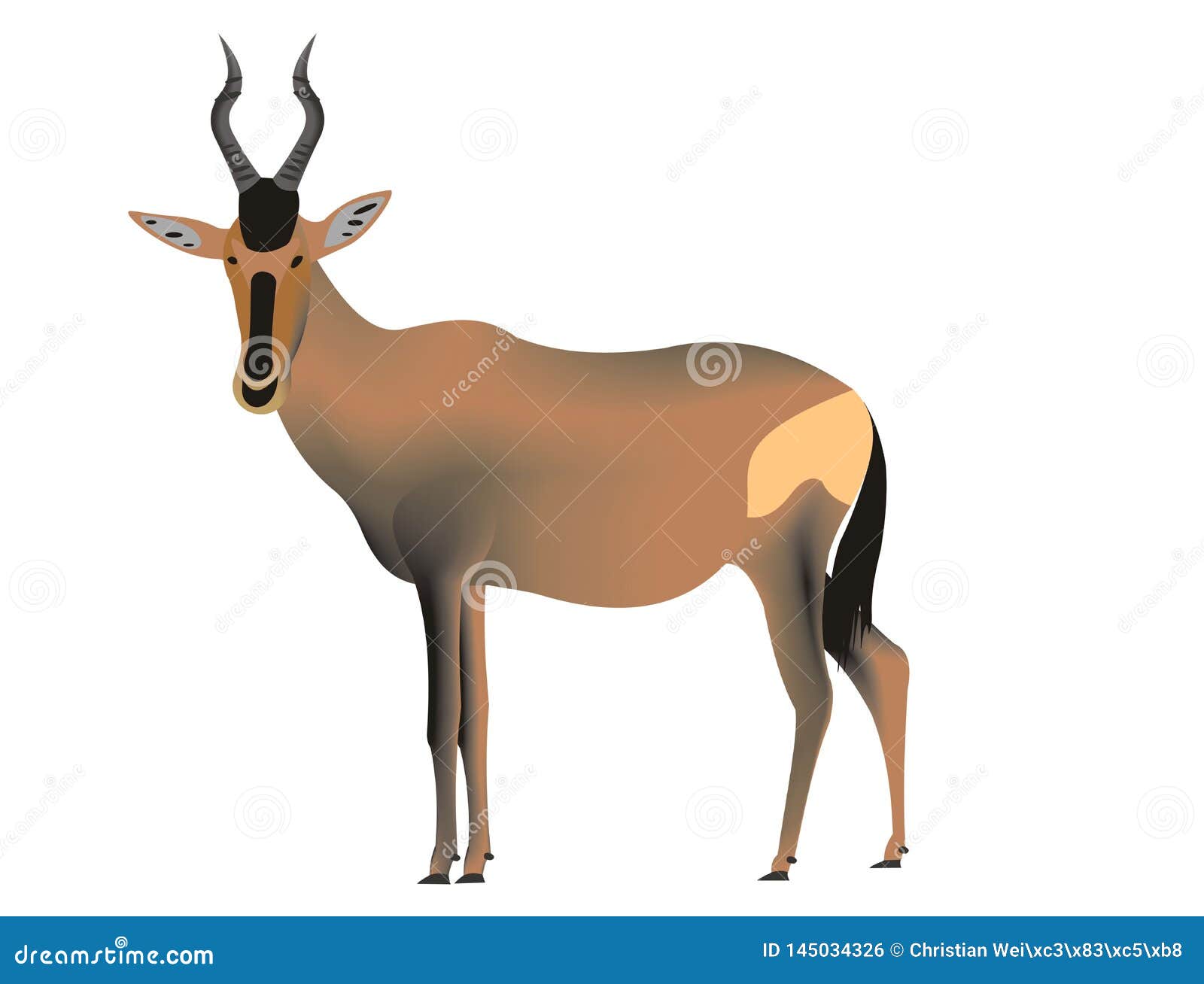 Caama Stock Illustrations – 1 Caama Stock Illustrations, Vectors ...