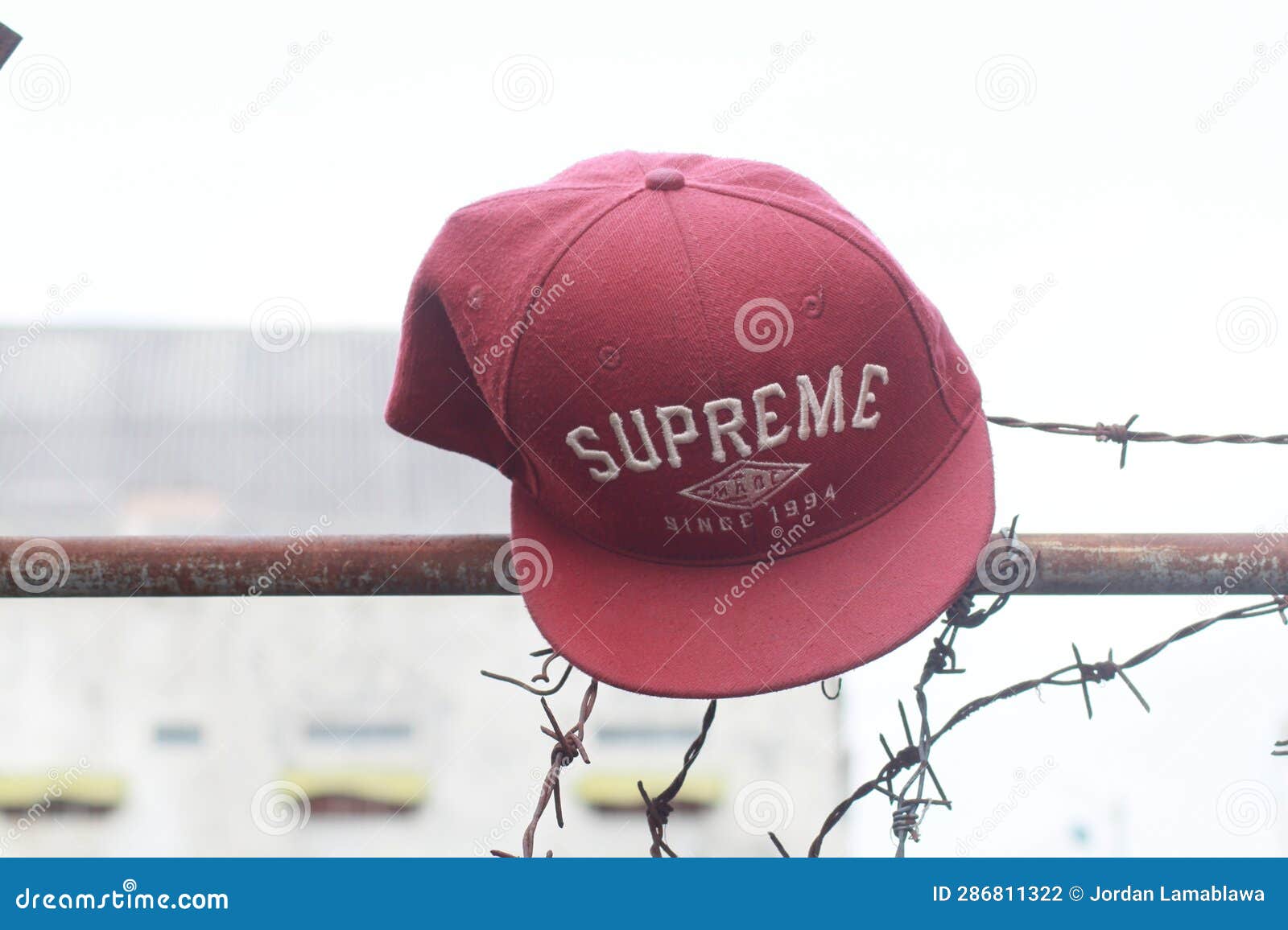 Red hat in net stas stock photo. Image of stas, looks - 286811322